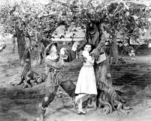 WIZARD of OZ Photo DOROTHY & SCARECROW Angry Tree Scene 8x10 11x14 ...