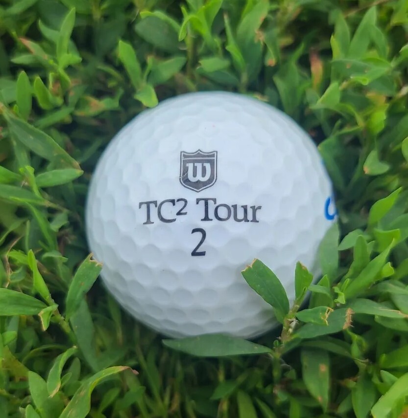 Amana Colonies Logo Golf Ball TC2 Collectors Course Iowa 8th ...