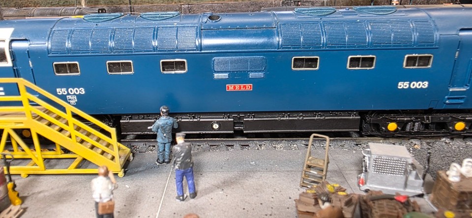 Bachmann Deltic 55003-Meld-32-532A-BR Blue Full Yellow Ends, White Cab ...