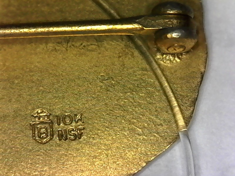 Vintage 10K Yellow Gold Enamel National Congress of Parents and ...