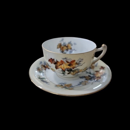 Vintage Epiag Royal Tea Cup Saucer Set Silver Maple Czech ...