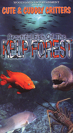 Cute Cuddly Critters: Beautiful Fish of the Kelp Forest (VHS, 2001) for ...
