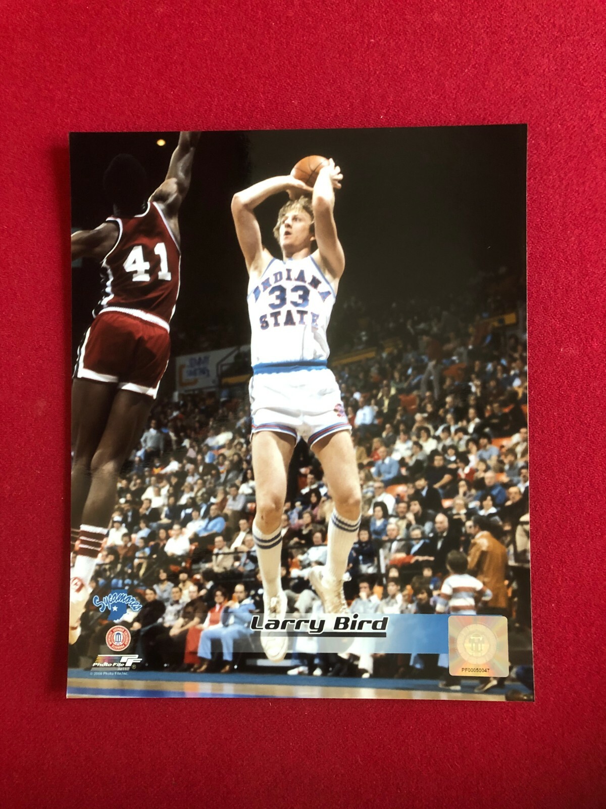 Larry Bird (Indiana State), Licensed,Photo File 8" x 10" Color Photo ...