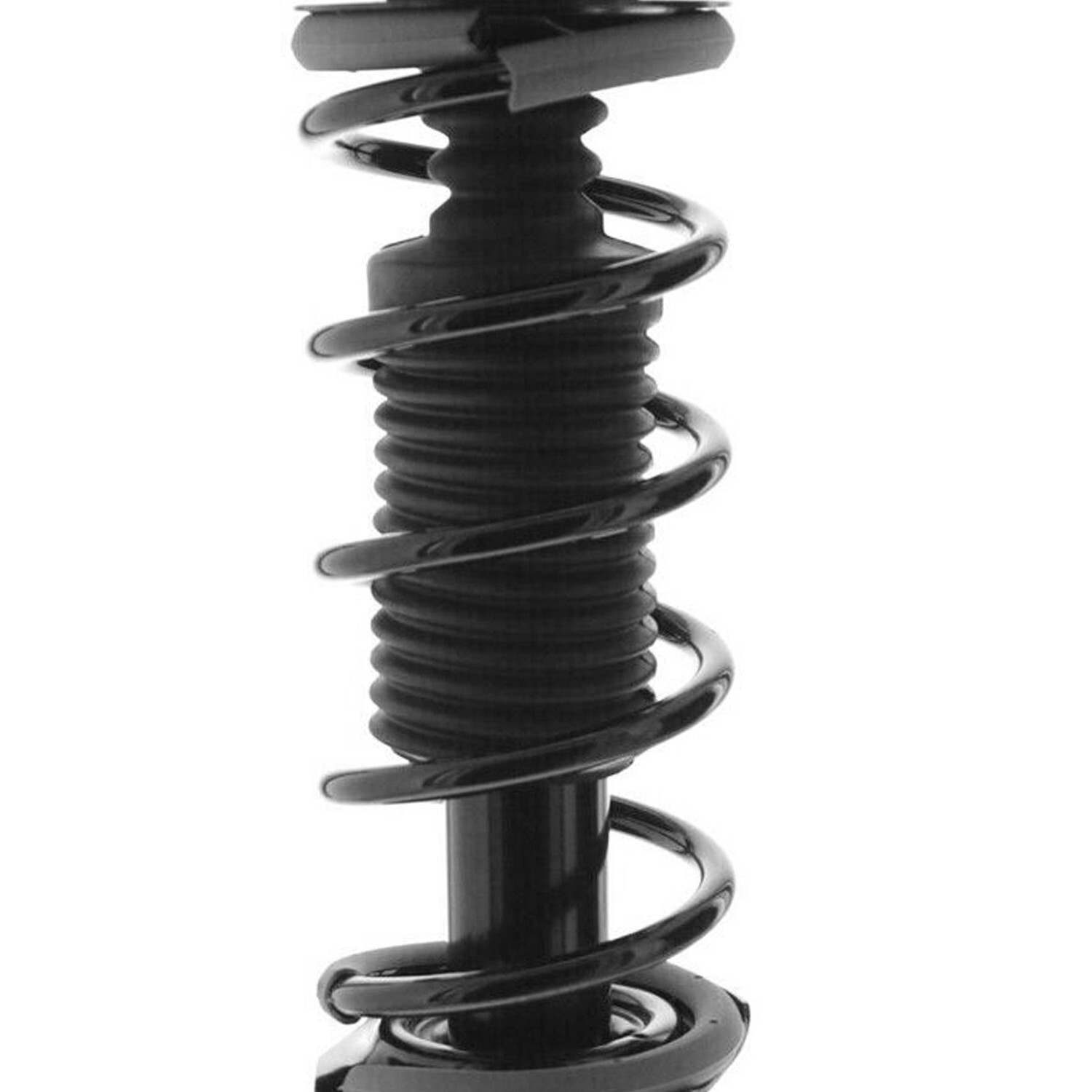 Front Left Right Struts w/ Coil Spring Assembly for 2012-2019 Nissan ...