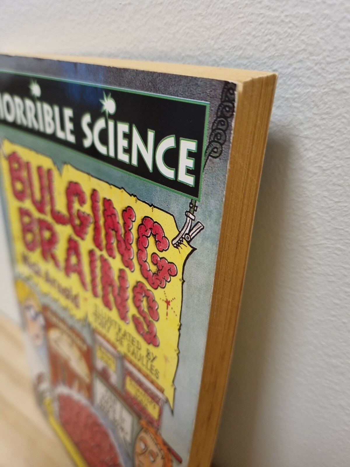 Horrible Science: Bulging Brains by Nick Arnold (Paperback, 2002) for ...