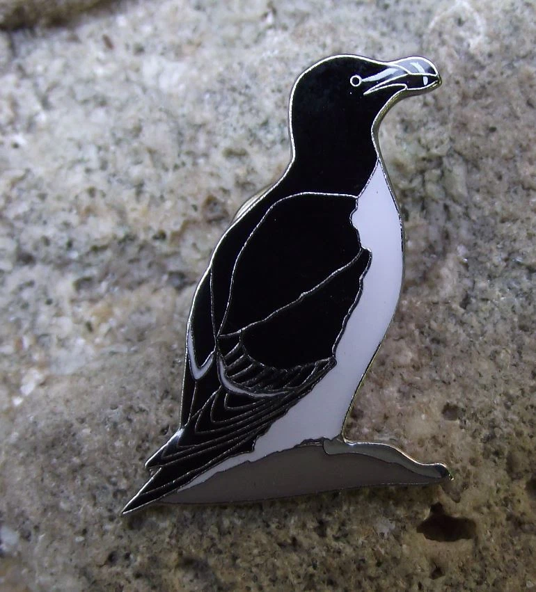 Colonial Marine Animals