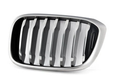 Genuine BMW Grille Front Left 51137464921 for sale online | eBay