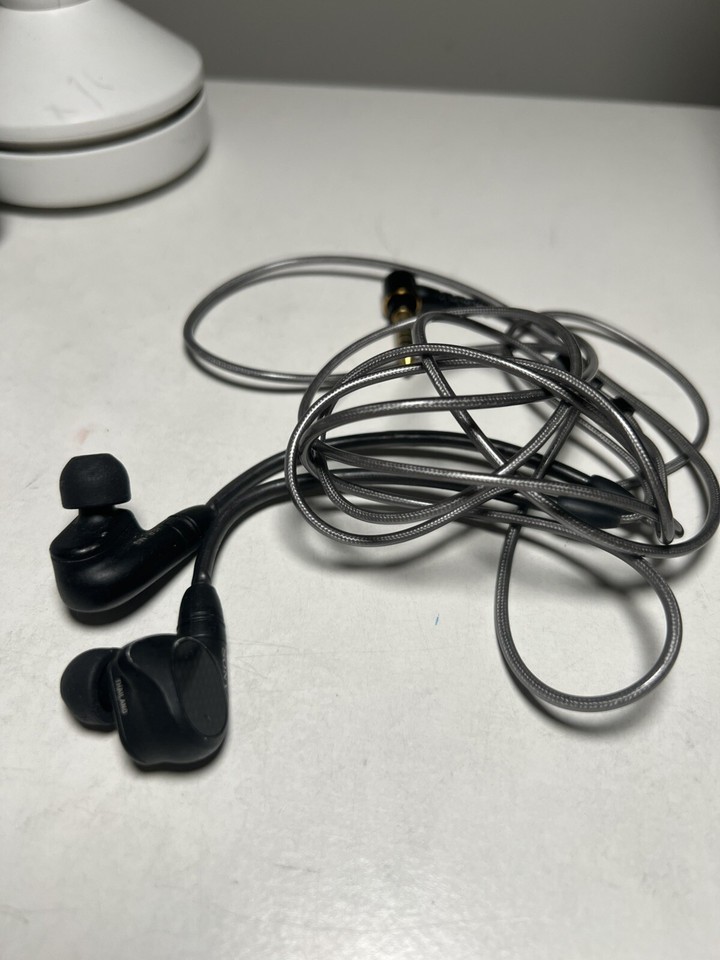 Sony IER-M9 In-Ear Monitor Headphones 27242913035 | eBay