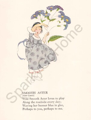 Flower Children Book Illustration Plate 1918 Smooth Aster & Downy ...