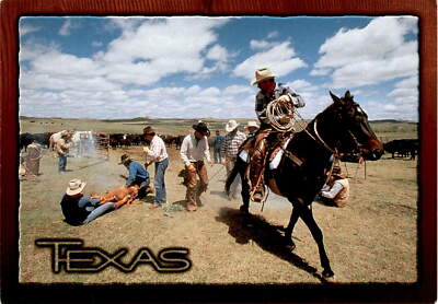 Texas, Cattle Branding, David Stoecklein, Smith-Southwestern Inc., Mesa ...