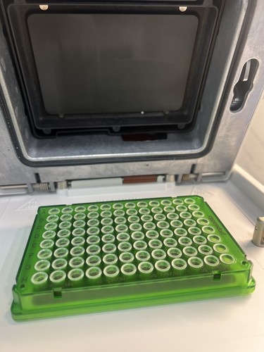 Eppendorf Flexlid Mastercycler Nexus Eco 6332 PCR Thermal Cycler | eBay