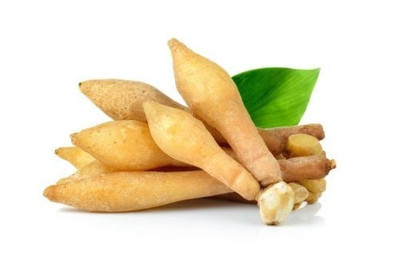 Chinese Key Bulbs 300++ gram (Boesenbergia rotunda) - Temu Kunci ...