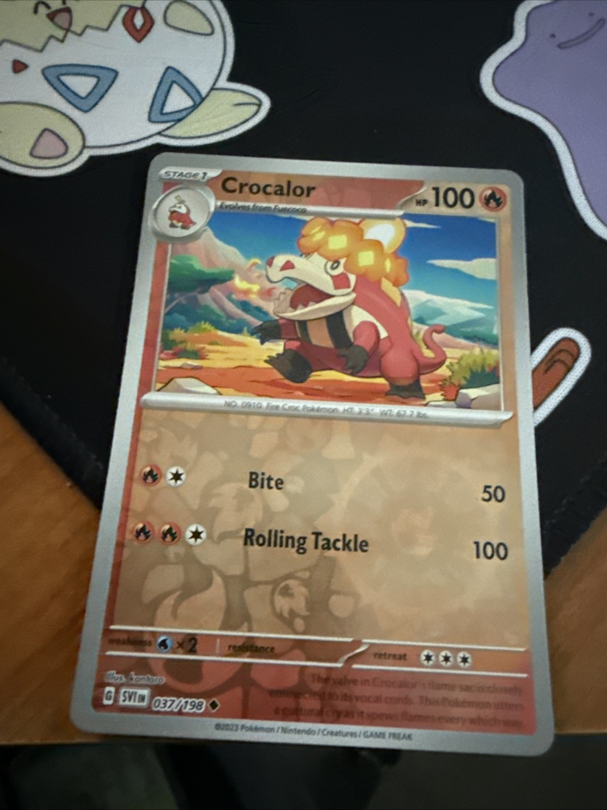 Crocalor 037/198 Sv01: Scarlet & Violet Base Set Reverse Holo for sale ...