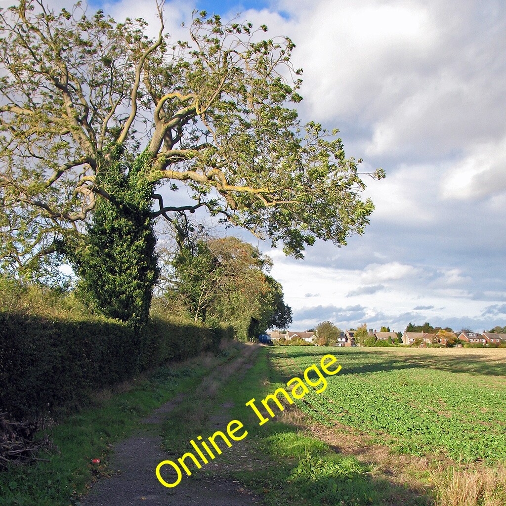 Photo 12x8 Netherhall Farm track in October Cherry Hinton The houses of ...
