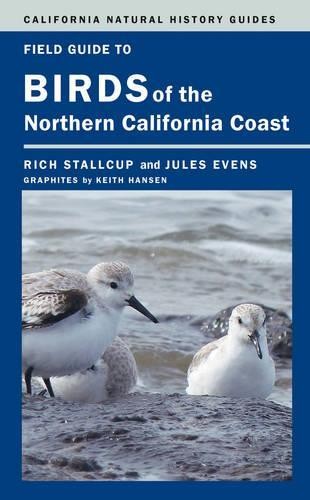 Rich Stallcup J Field Guide to Birds of the Northern C (Taschenbuch ...