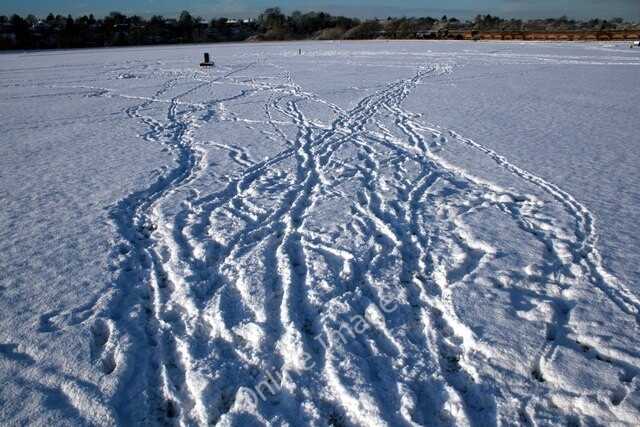 Photo 6x4 Snow on the Roodee, Chester The Roodee Cross can be seen in ...