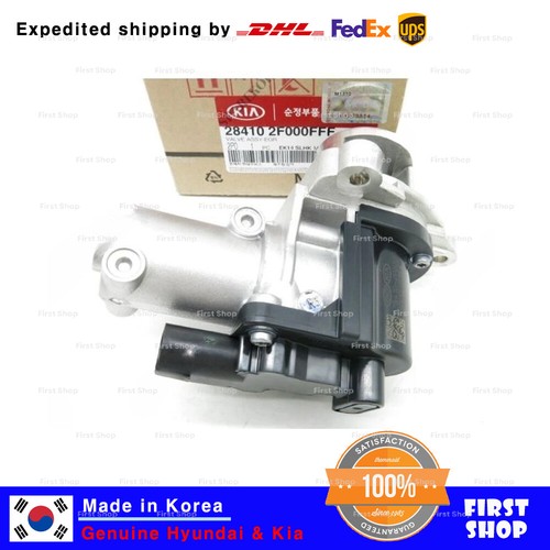 Genuine OEM 284102F000FFF EGR Valve for Hyundai IX35 Santa Fe Tucson ...