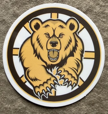Boston Bruins Sticker Decal NHL Hockey 2” X 2” | eBay