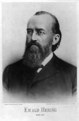 Photo:Karl Ewald Hering,1834-1918,German physiologist,glasses | eBay