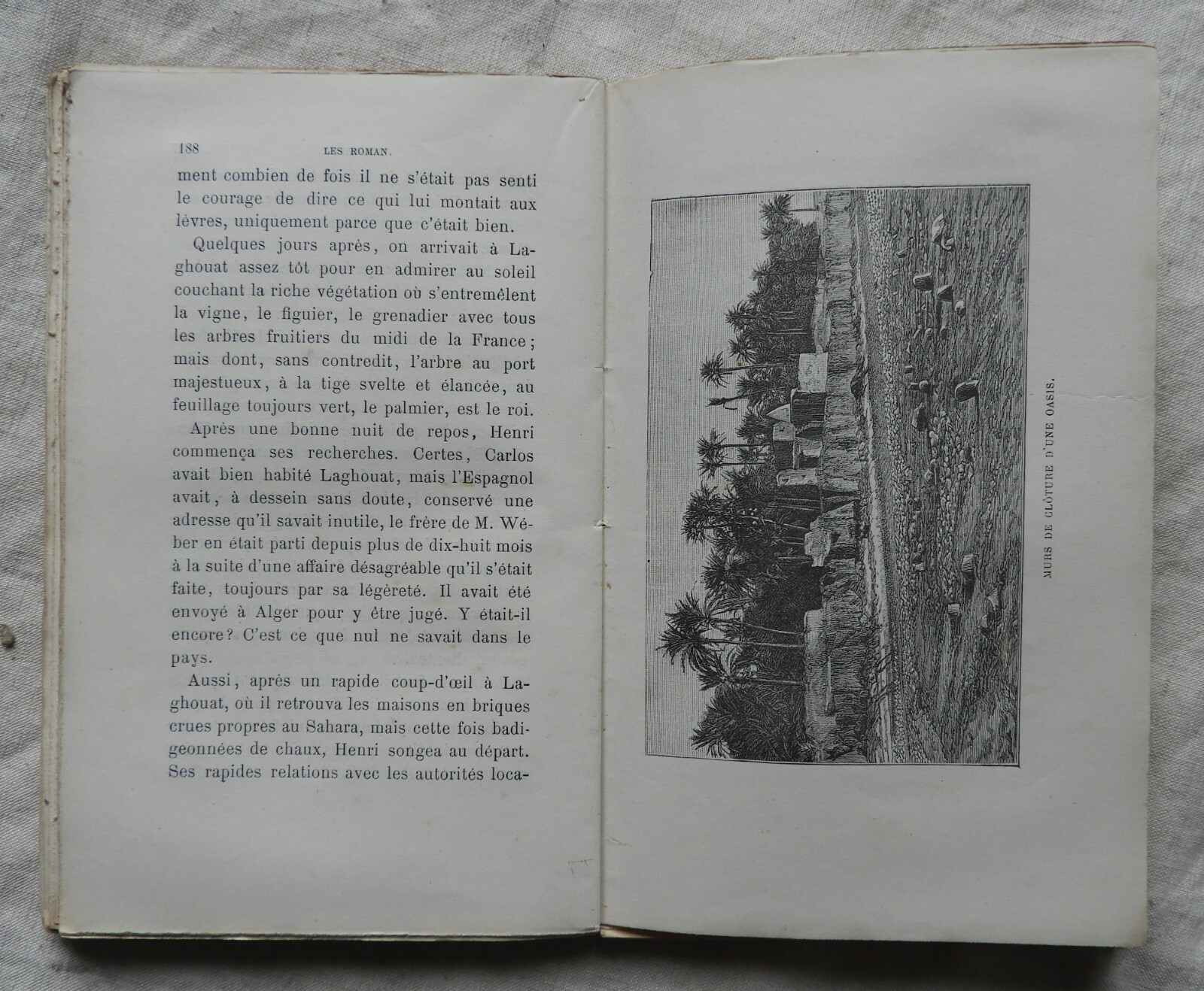 LES ROMAN - DELAUNEY DU DEZEN - 1895 (ouvrage broché) | eBay