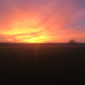 Happy Valley Pickers | eBay Stores