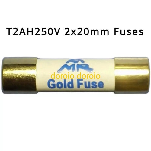 1PCS Gold Cap Silver Fuse Tube AMR T2AH250V 2A 250V | eBay.de