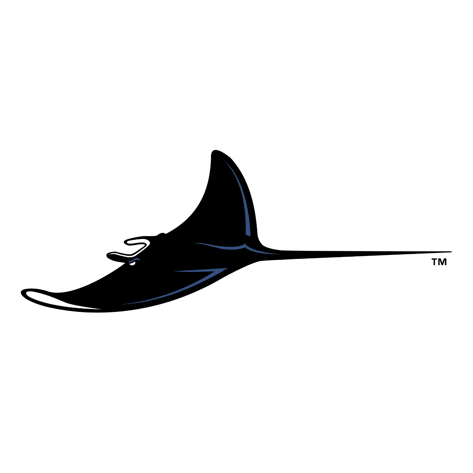 Tampa Bay Devil Rays Logo MLB skate cell laptop bumper vinyl decal | eBay