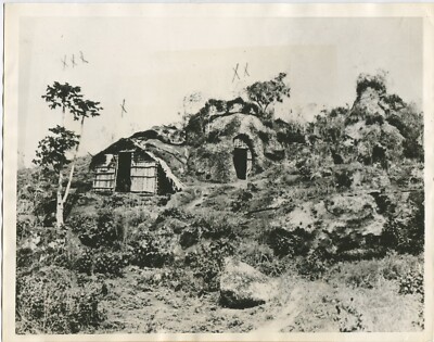 Vintage 8x10 Galapagos photo print: Dr. Friedrich Ritter's home, 1934 ...