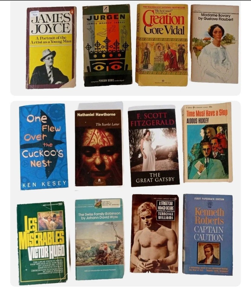 ⭐️ Lot of 12 Classic Literature & Contemporary Classics | eBay
