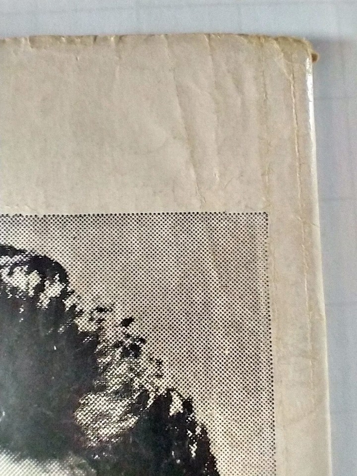 Marvel Comics Shanna the She-Devil #1 1st Appearance Shana; Jim ...