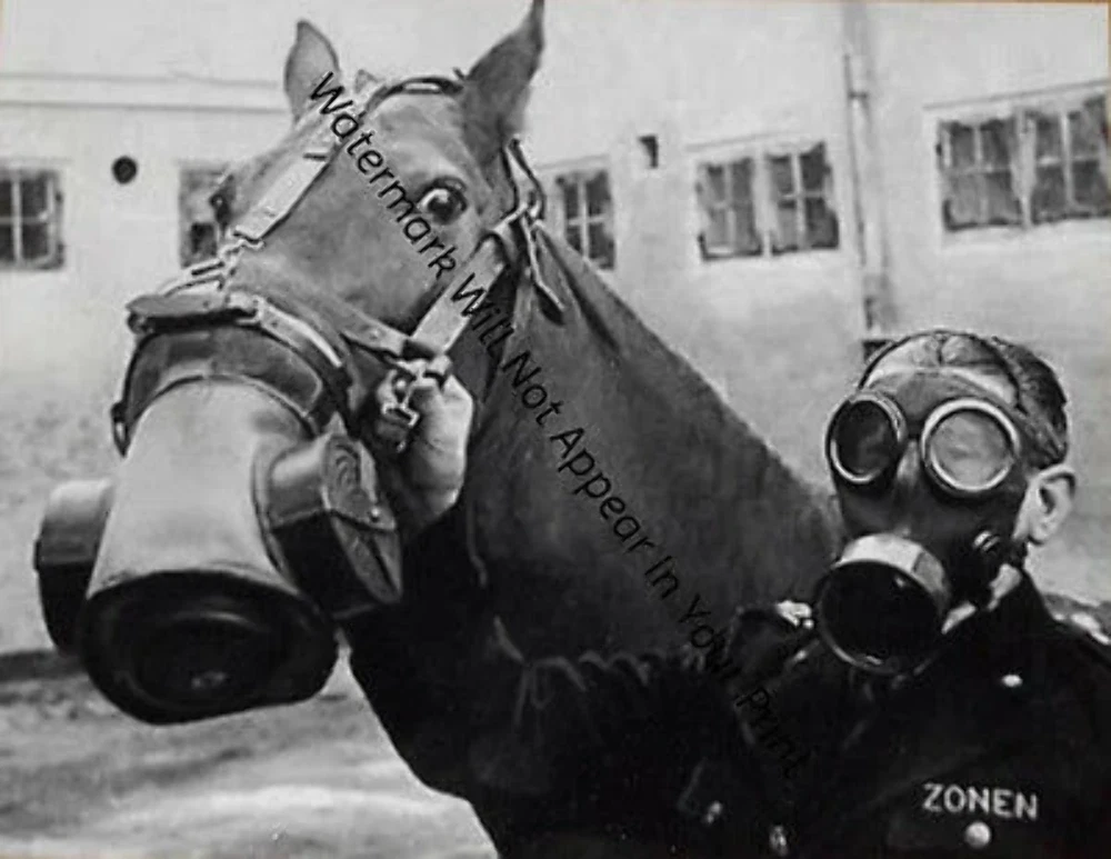 Ww1 Horse Gas Mask