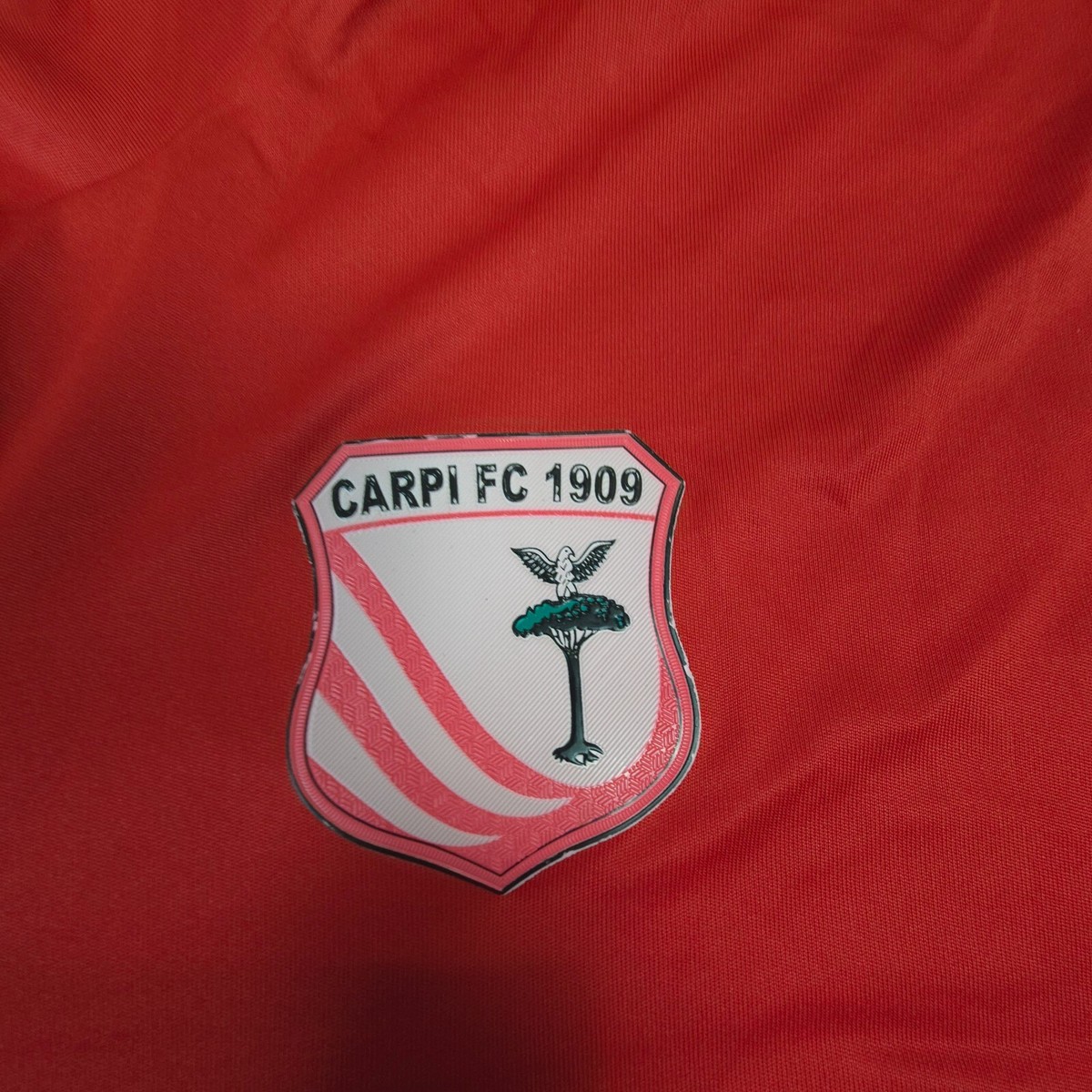 Carpi Logo Julien Carpi