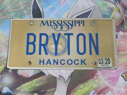 2020 Mississippi Vanity License Plate BRYRON MS Hancock County | eBay