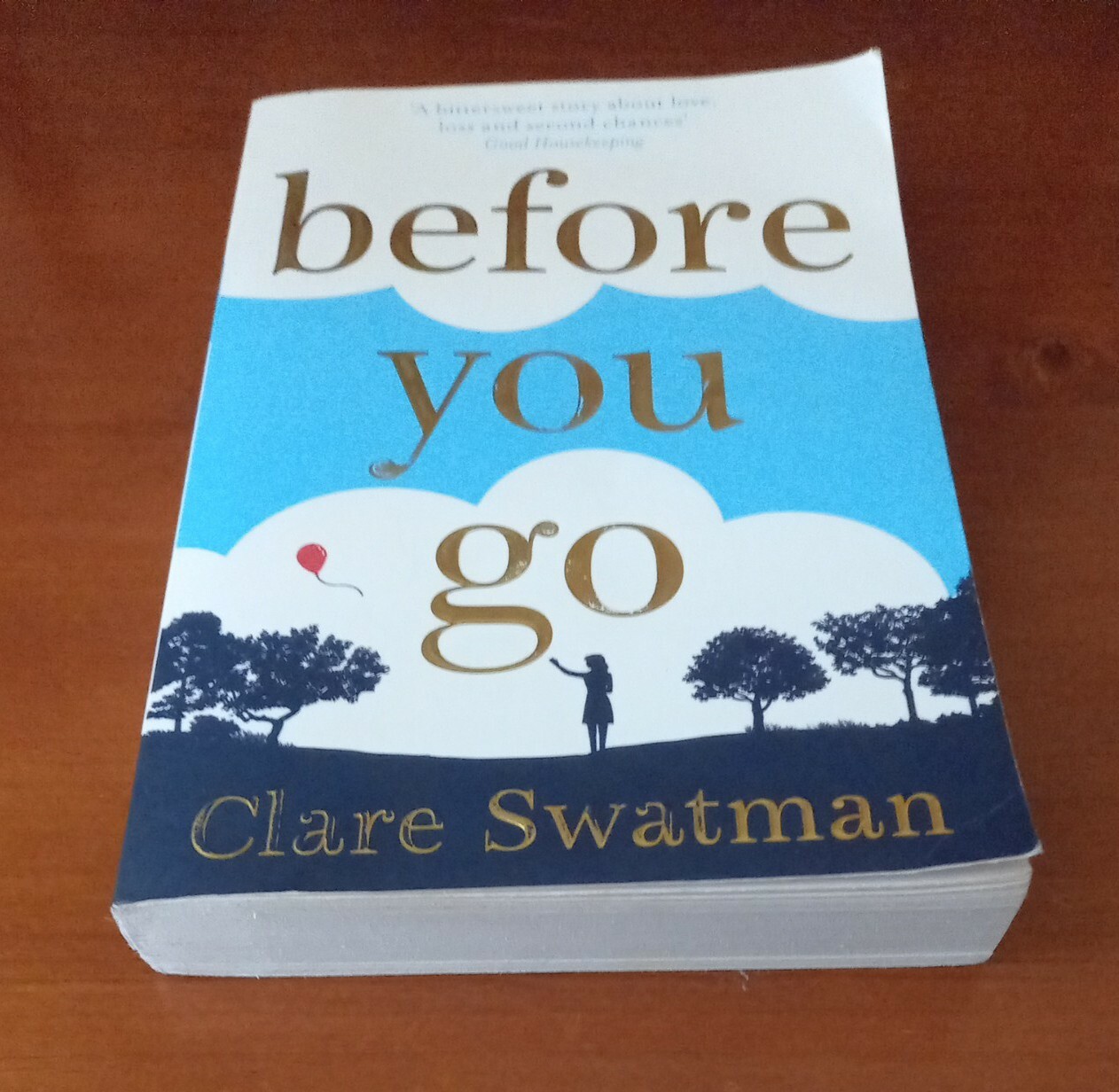 Before You Go by Clare Swatman (Paperback, 2017) ~ GC 9781509824854 | eBay
