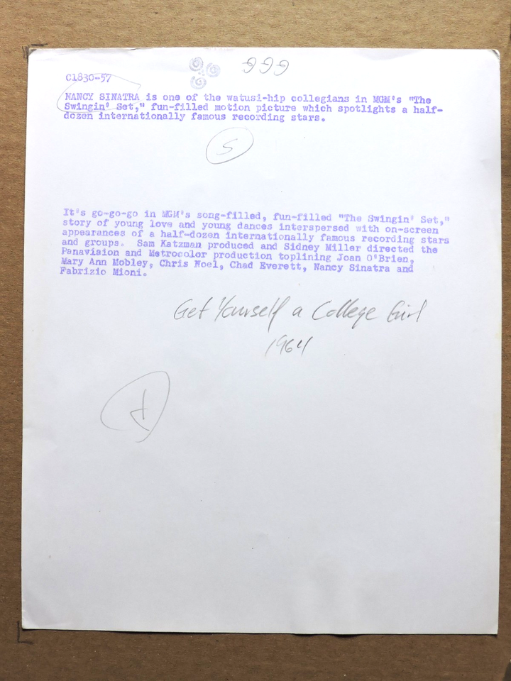 Nancy Sinatra in tights original leggy pinup portrait photo 1964 ...