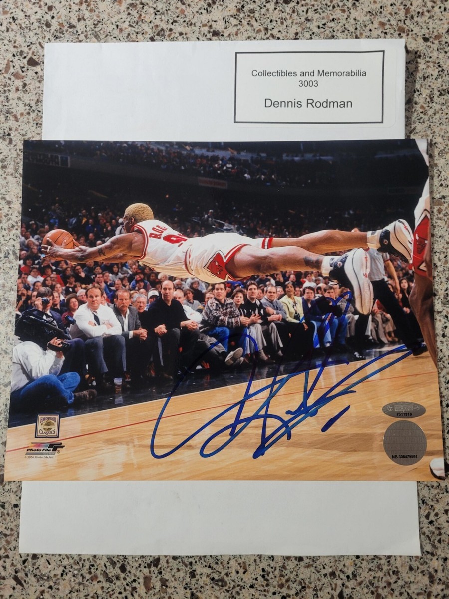 Dennis Rodman Bulls Diving