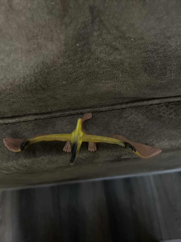 PTERODACTYL FIGURE Brown Yellow | eBay