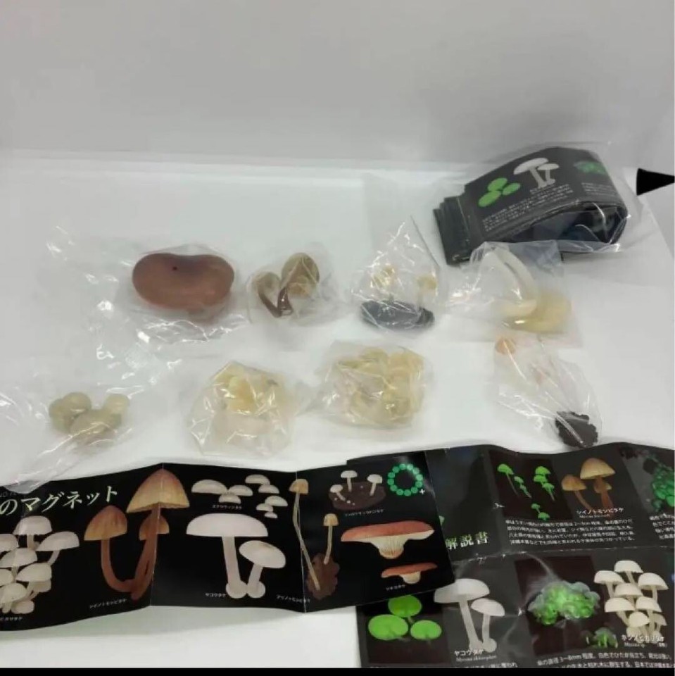 Nature Technicolor MONO PLUS Glowing mushroom Complete Magnet Capsule ...