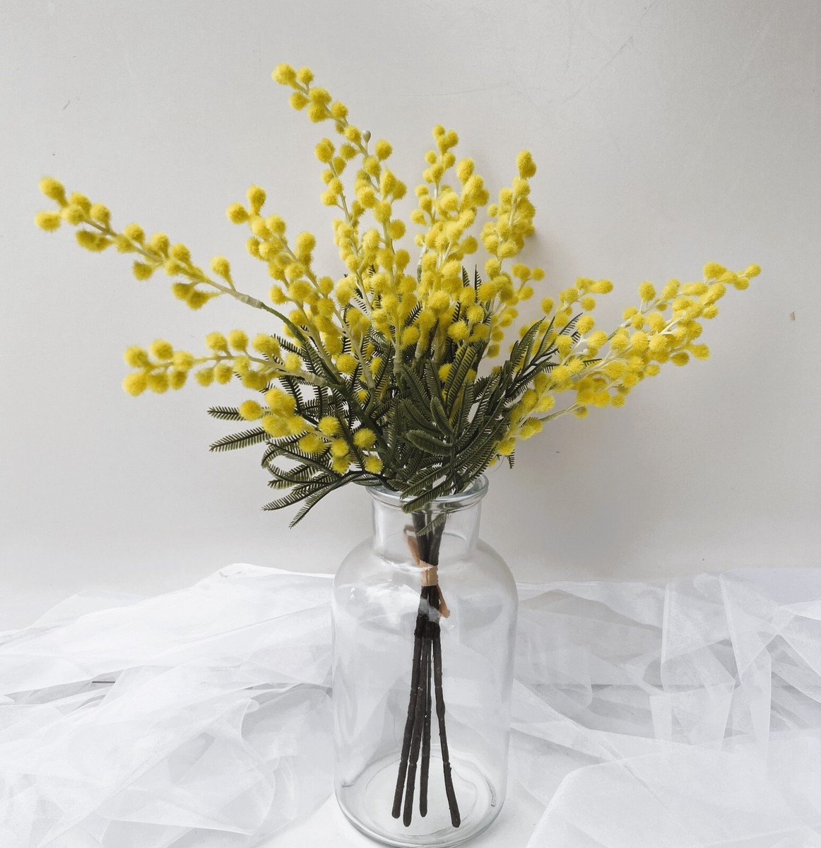 Golden Wattle Computer Wallpapers Wattle Photography Print