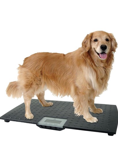 Redmon Digital Dog Scale for Large Pet & Animal with Non-Skid Mat, 225 ...