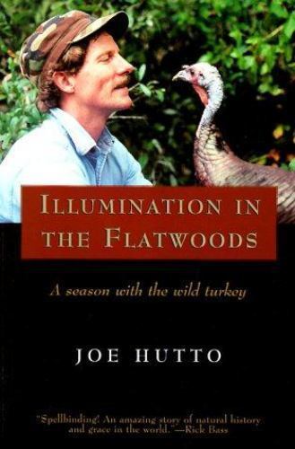 Illumination in the Flatwoods by Joe Hutto (1998, Trade Paperback) for ...
