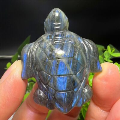 Natural Labradorite Hand Carved Tortoise Skull Quartz Crystal Healing ...