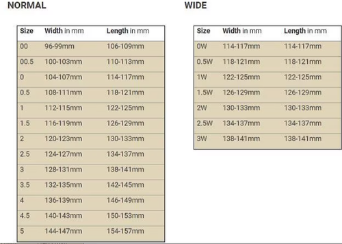 EasyBoot Back Country Horse Hoof Boot - SINGLE - Size 2.5 Regular NEW ...