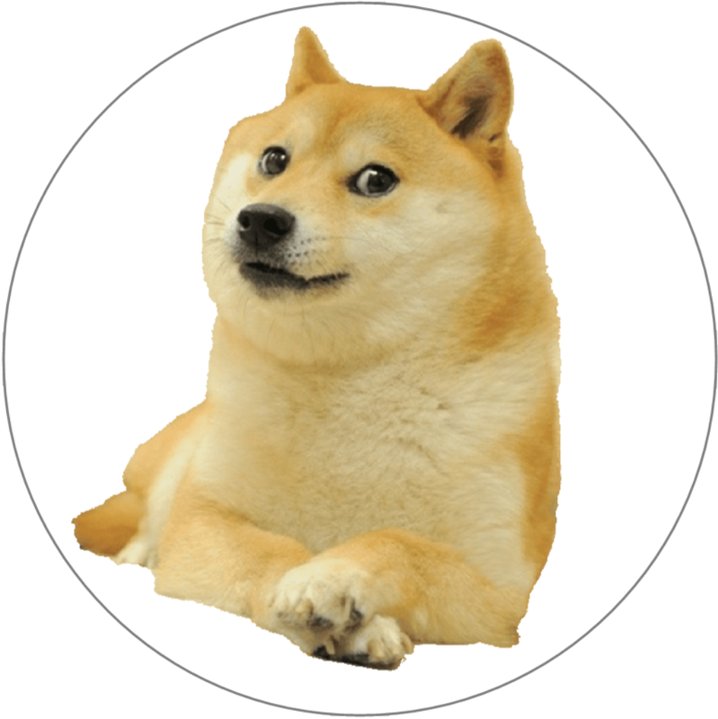 Funny Shiba Memes