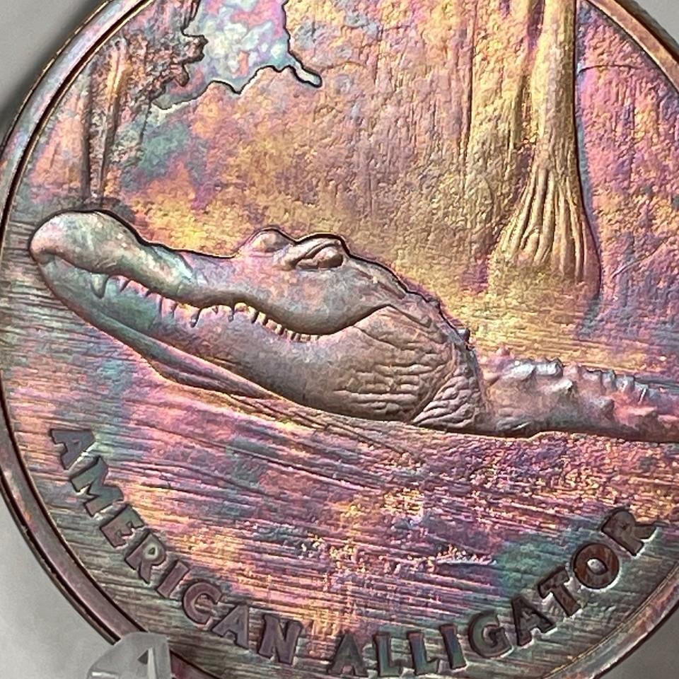 Toned Copper Round American Alligator .999 Fine Copper 1oz | eBay