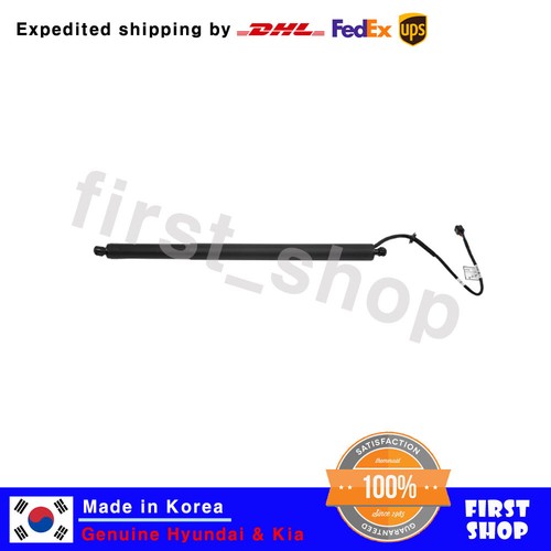 OEM Genuine Lifter Power Tailgate RH 81780D3100 For Hyundai Tucson 2015 ...