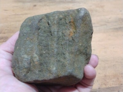 Unusual Rock Found Arkansas Petrified? Limb Stone Iron Ore? Pottery ...