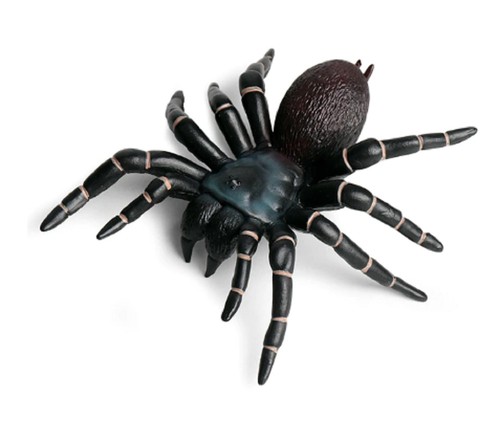 11cm Spider PVC Toy Insects Animal Figure Kids Gift | eBay
