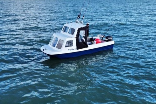 Pilot 520 Fast Fishing Boat And Trailer | eBay UK