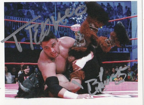 TEXANO JR BLACK TAURUS SIGNED 2016 PANINI LUCHA LIBRE AAA STICKER CARD ...